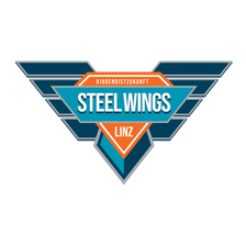 Jobs at Steinbach Black Wings Linz | JOIN