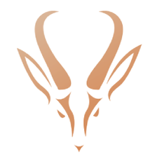 Jobs at Antelope Systems | JOIN