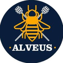 Jobs at ALVEUS | JOIN